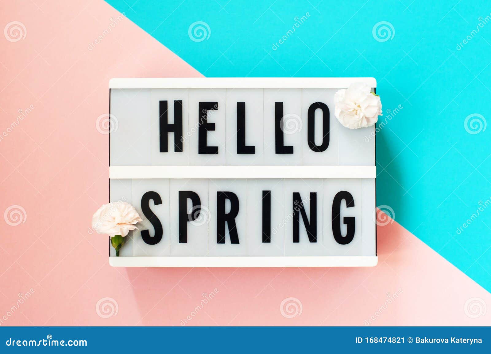 Hello Spring - Text on Lightbox with Carnations on Blue and Pink ...