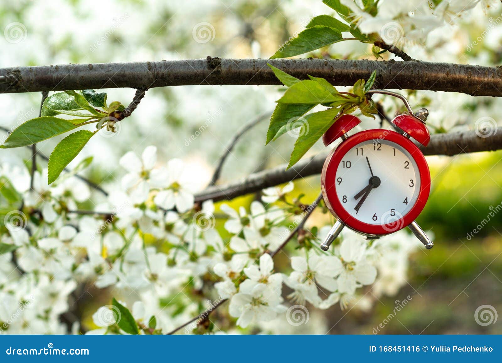 Hello Spring! Spring Time Change Background. Stock Photo - Image of ...