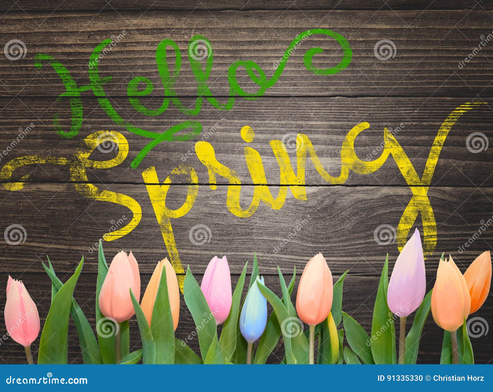 Hello spring stock illustration. Illustration of lettering - 91335330