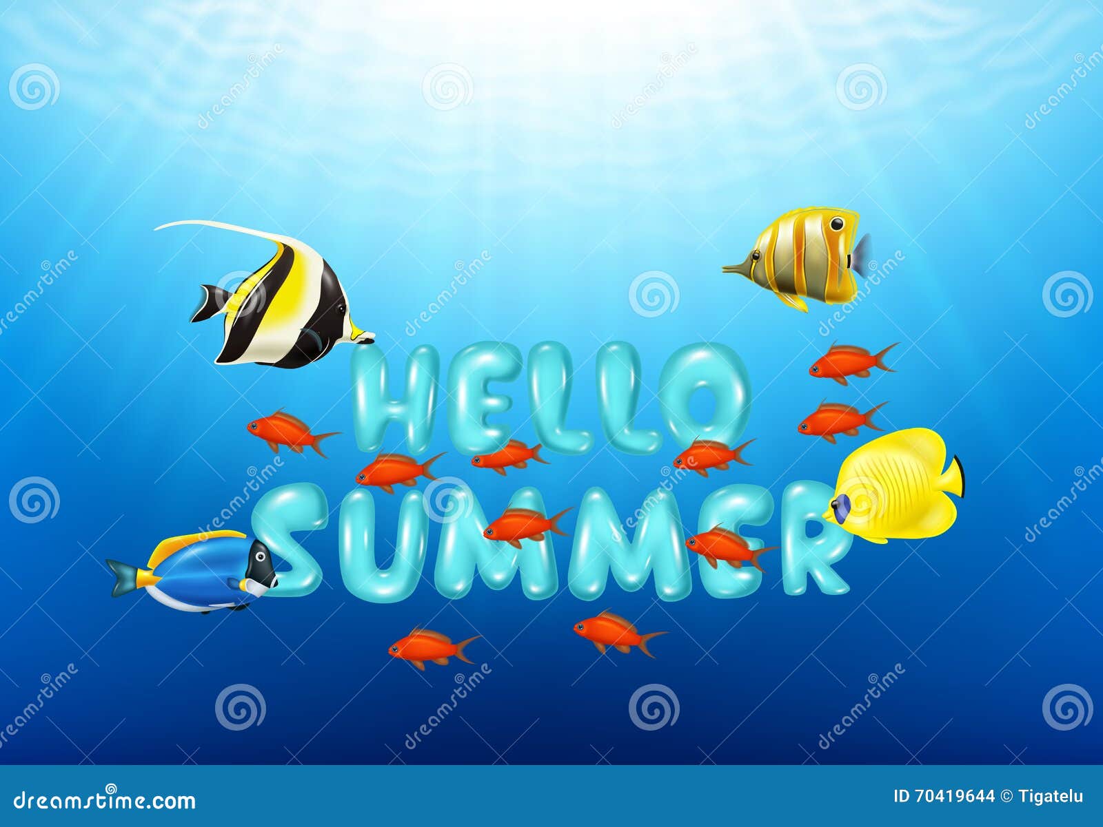 Hello Summer Background with Tropical Fish Stock Vector - Illustration ...