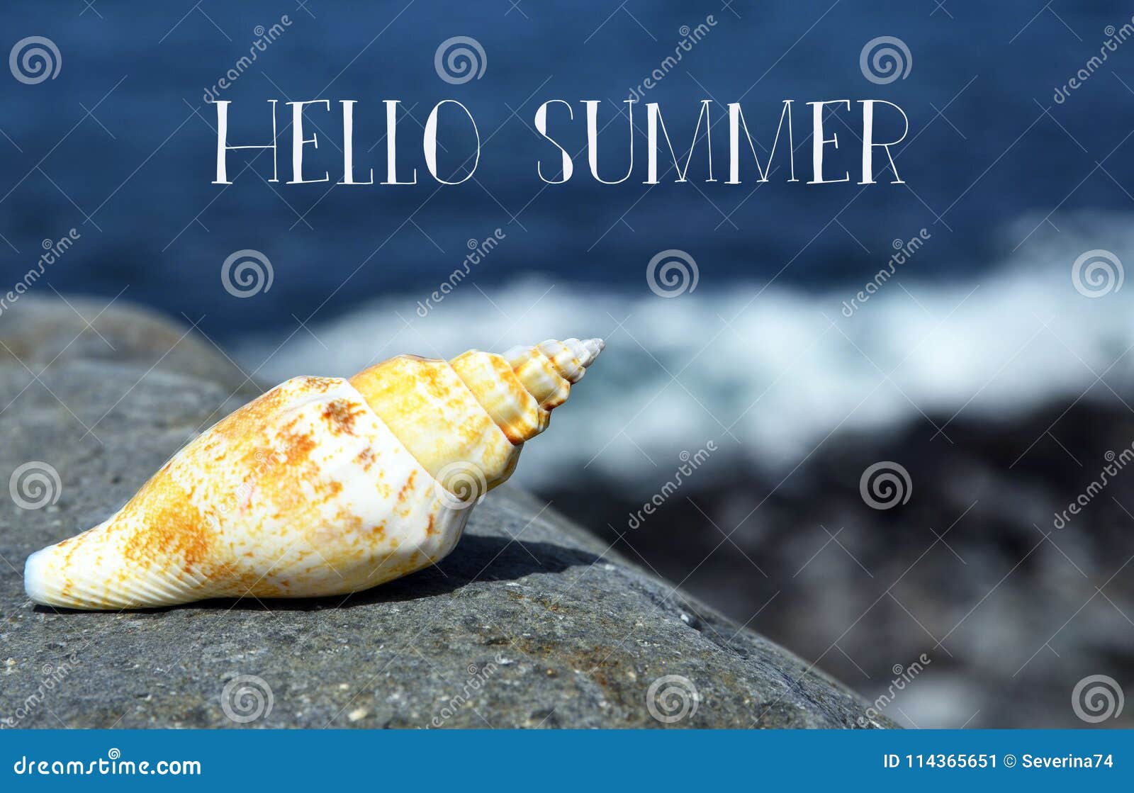 Hello Summer Greeting Card with Seashell on the Beach by the Ocean ...