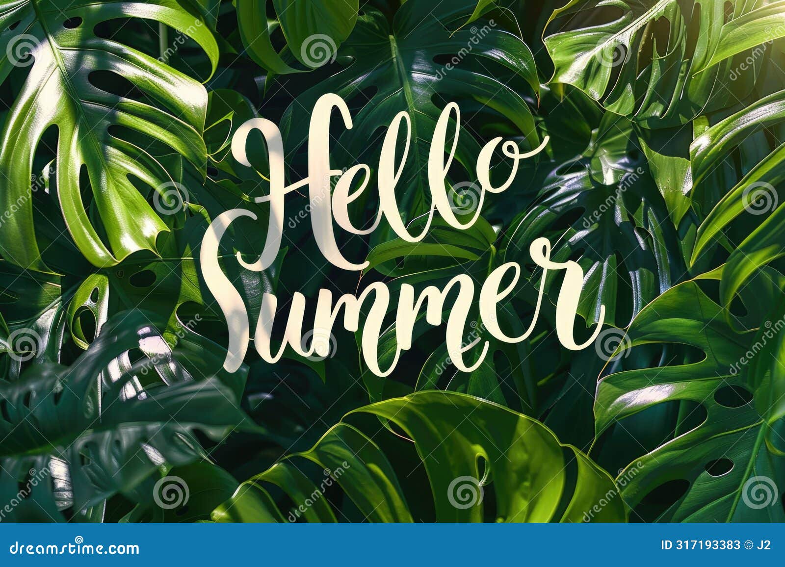 Hello Summer Message with a Backdrop of Lush Green Monstera Leaves ...