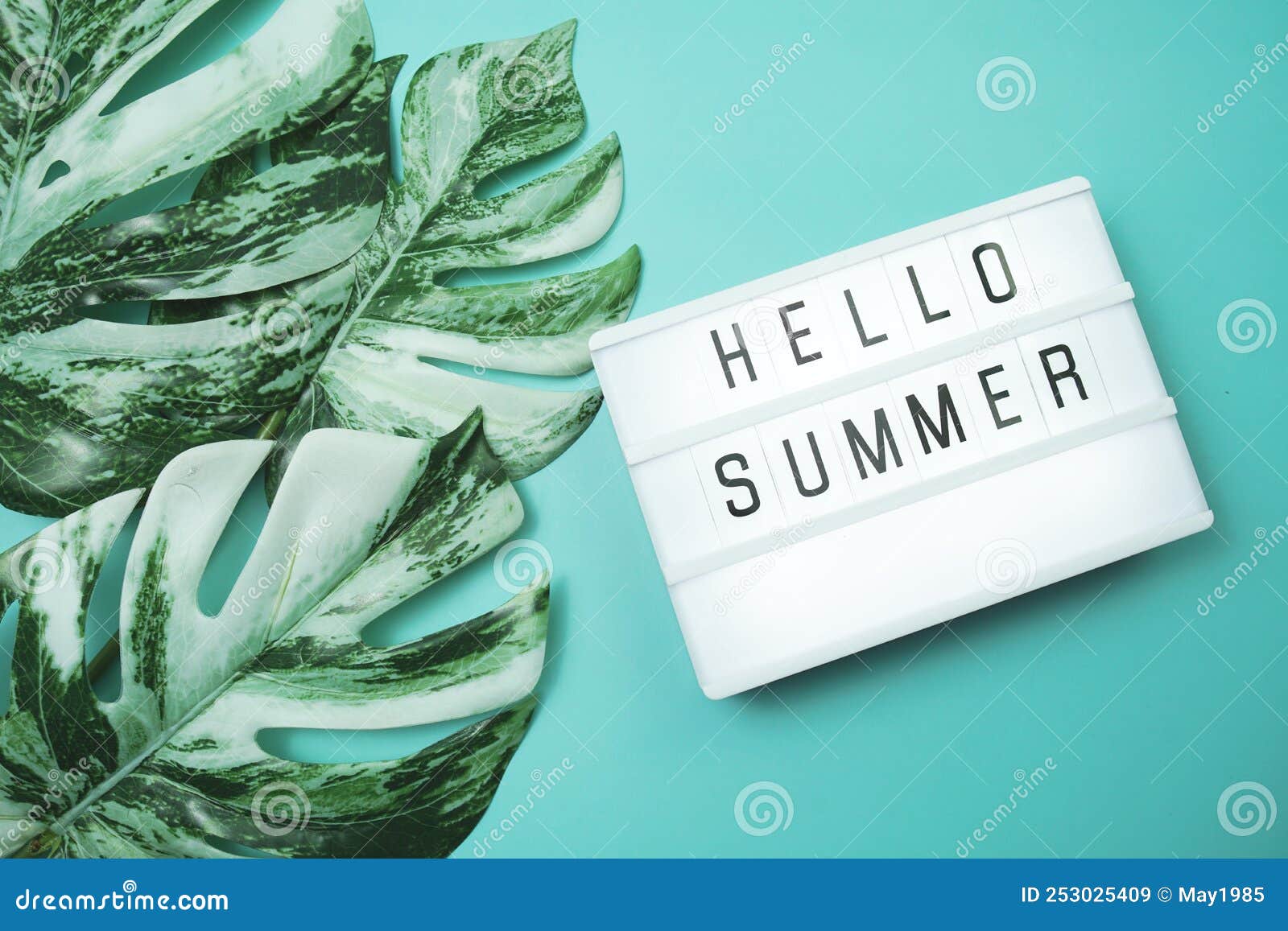 Hello Summer Word in Lightbox with Monstera Leaves on Blue Background ...