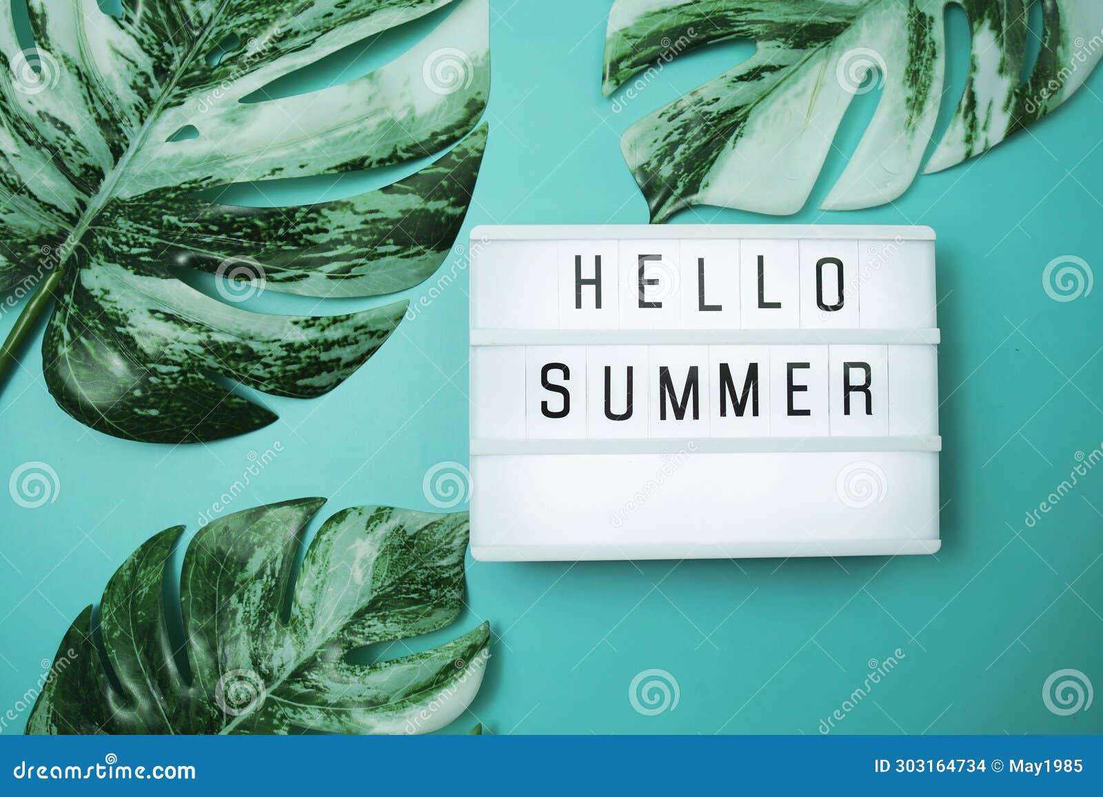 Hello Summer Word in Lightbox with Monstera Leaves on Blue Background ...