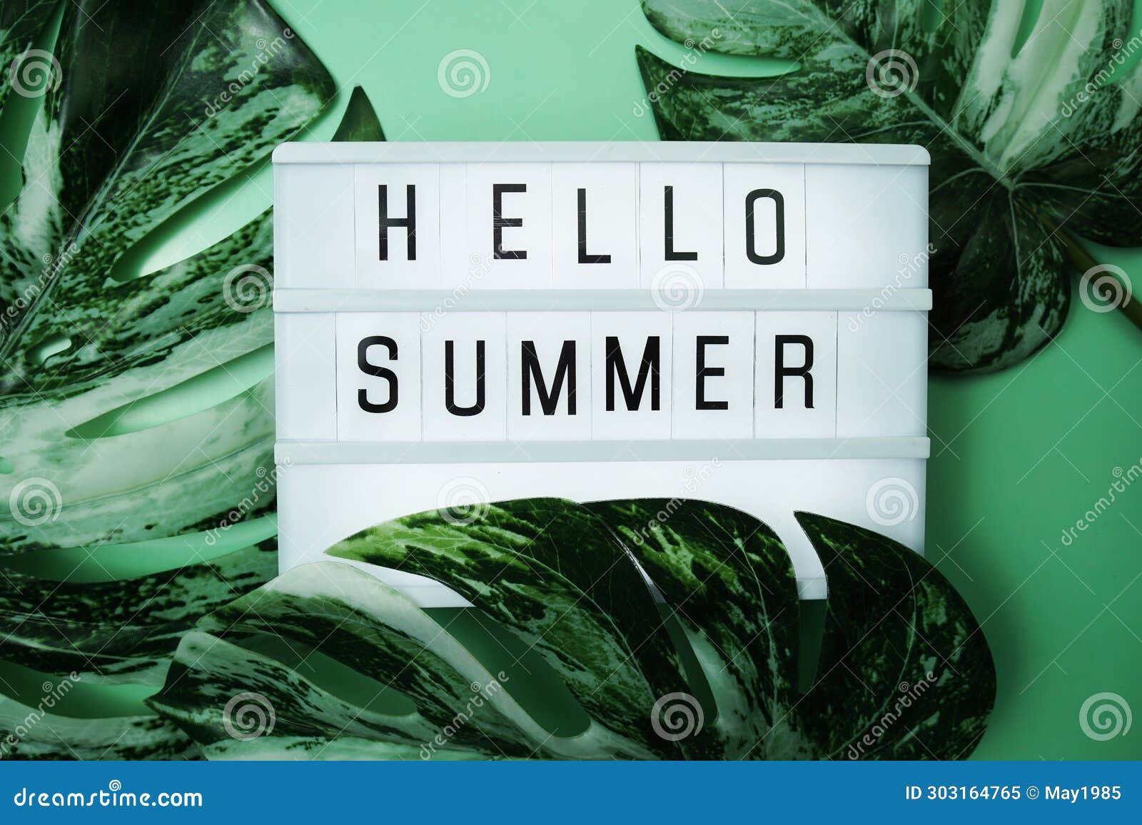 Hello Summer Word in Lightbox with Monstera Leaves on Green Background ...