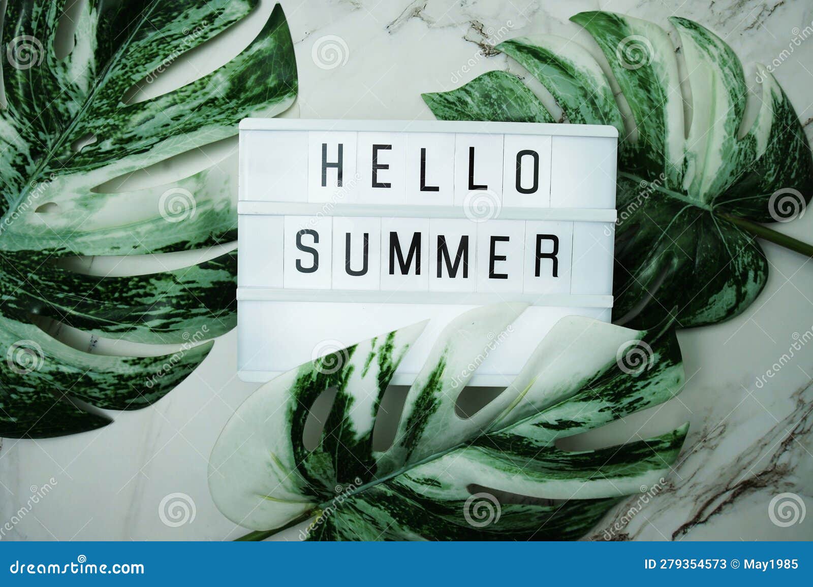 Hello Summer Word in Lightbox with Monstera Leaves on Marble Background ...