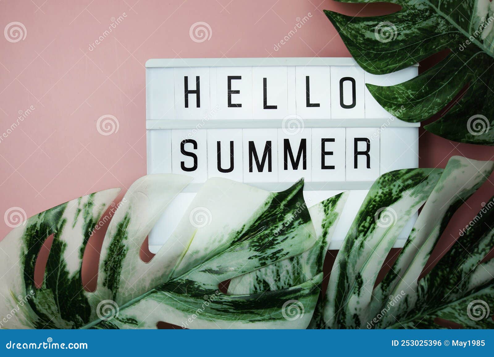 Hello Summer Word in Lightbox with Monstera Leaves on Pink Background ...