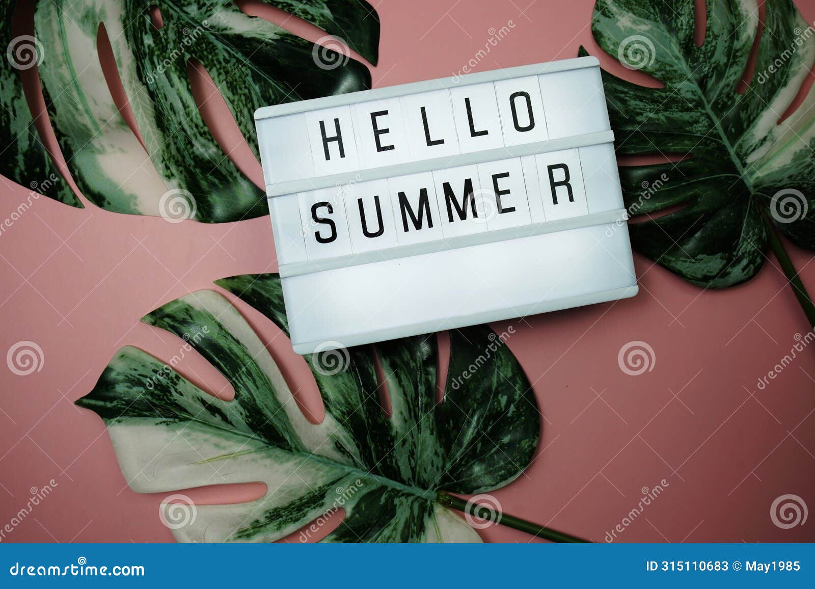 Hello Summer Word in Lightbox with Monstera Leaves on Pink Background ...