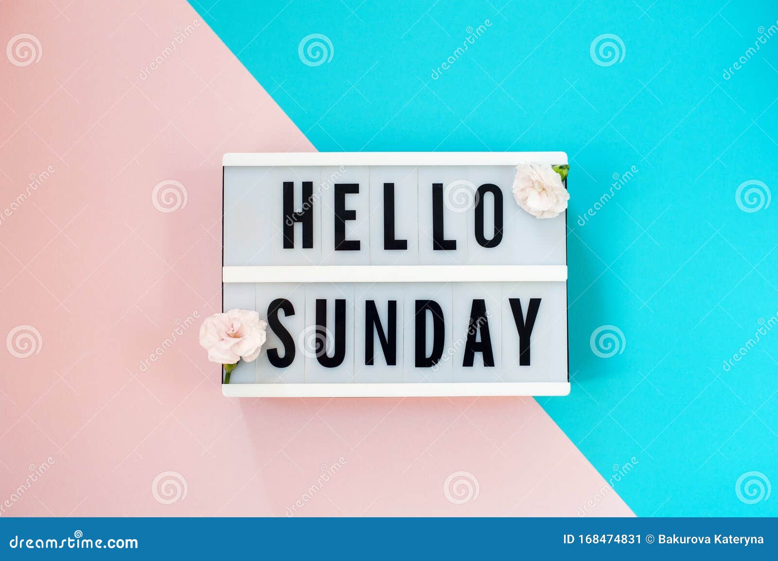 Hello Sunday - Text on a Display Lightbox with Flowers Carnations on ...
