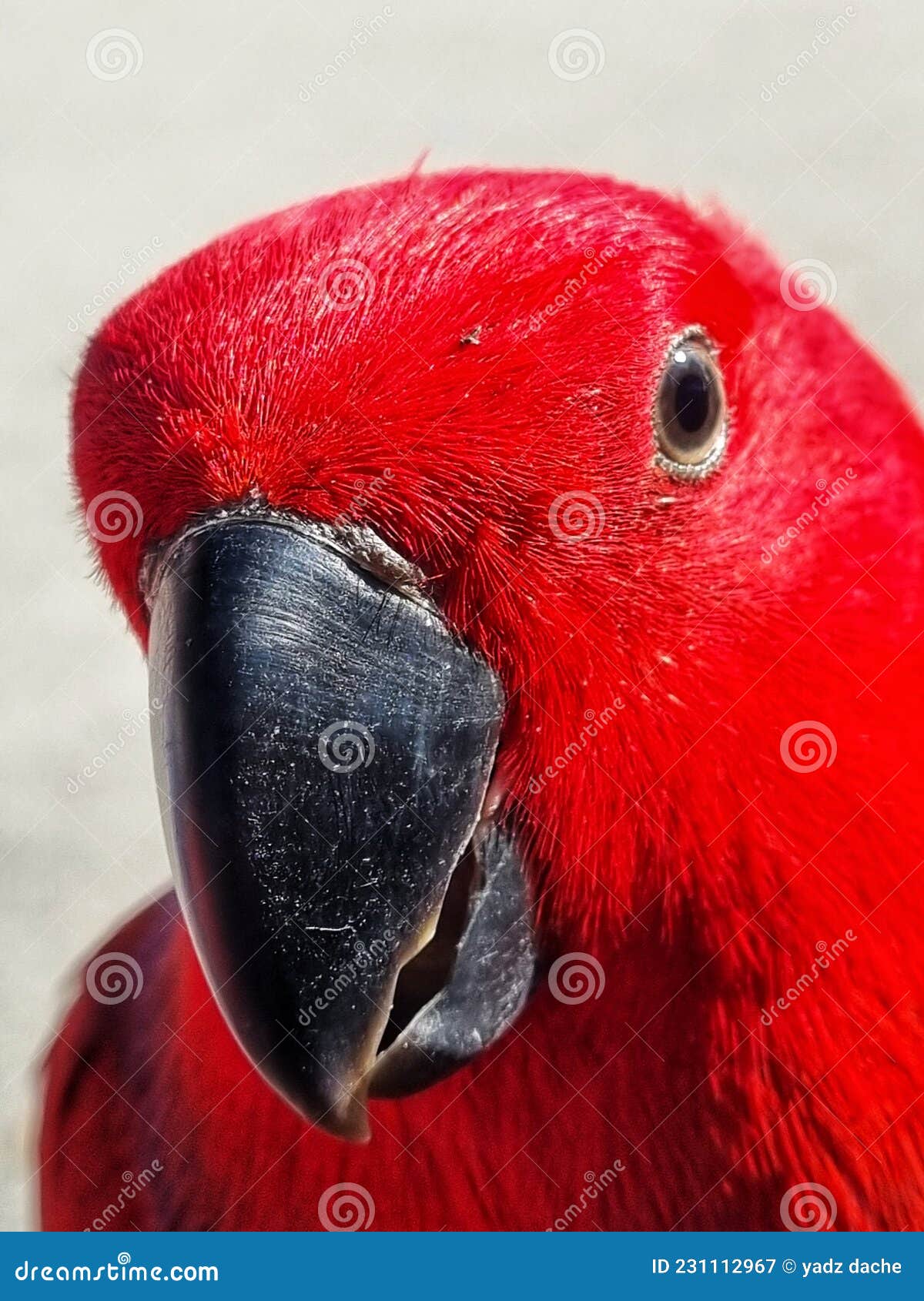 Hello There Written In Pink Neon Style On Black Background Stock Photo ...