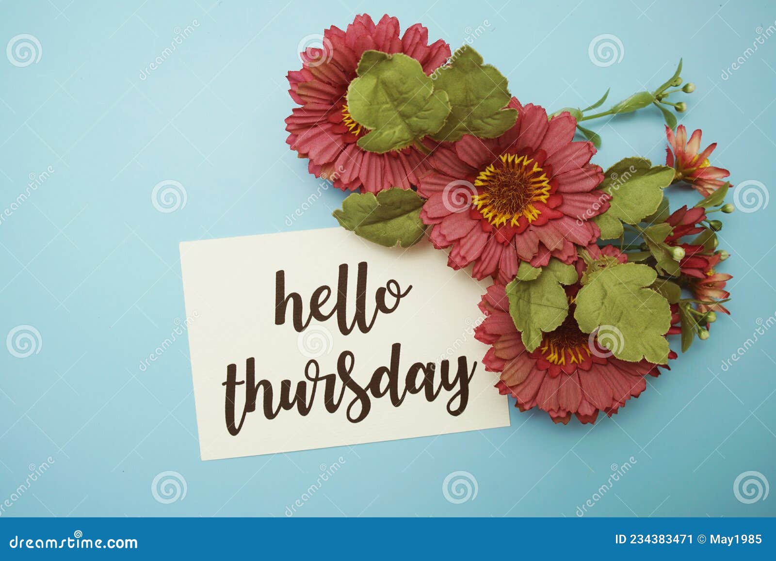Hello Thursday Typography Text with Daisy Flowers on Blue Background ...