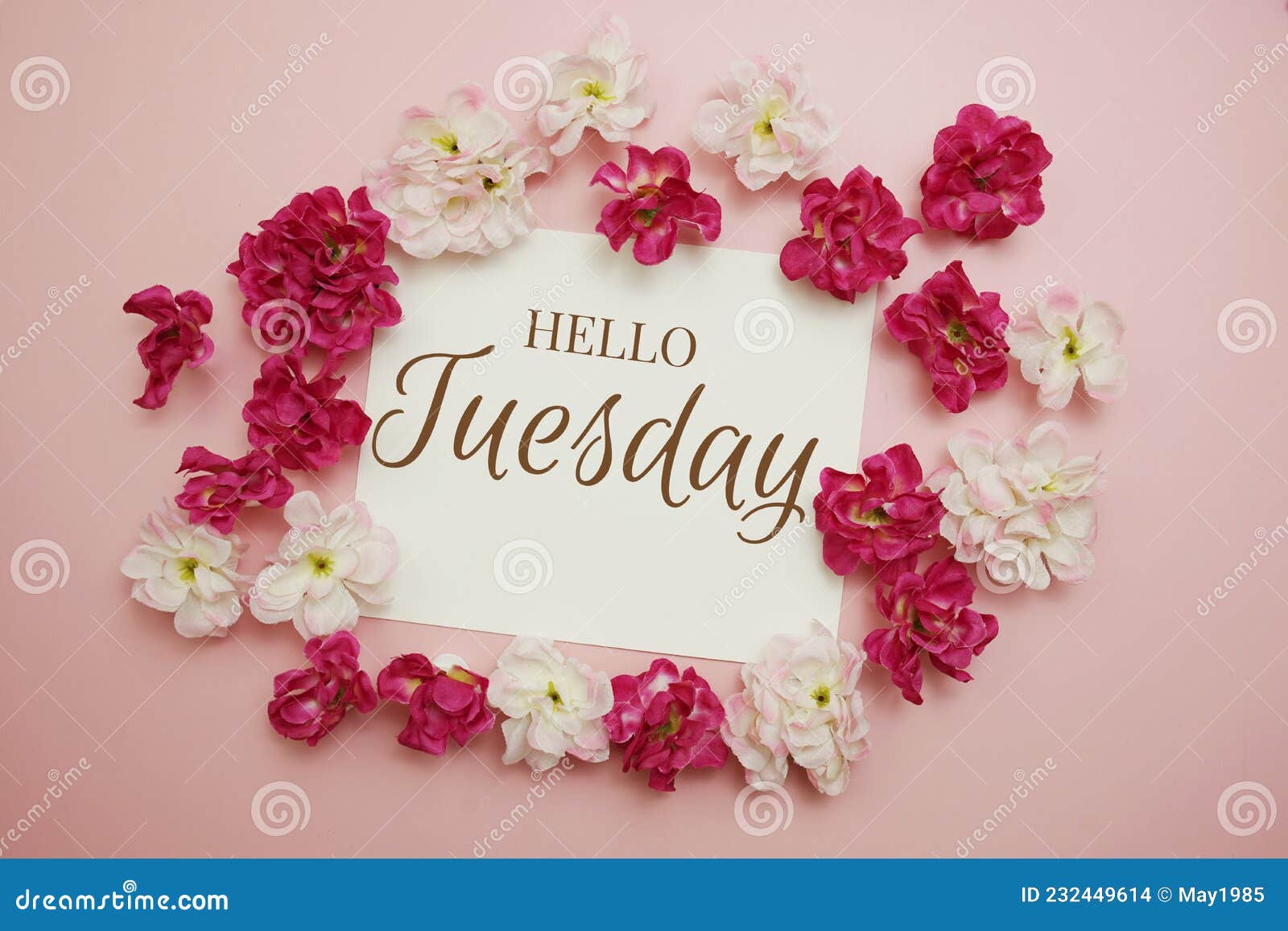 Hello Tuesday Card Typography Text with Flower Bouquet on Pink ...