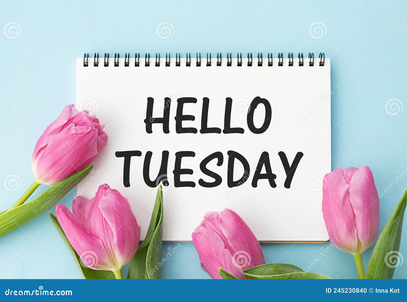 Hello Tuesday Text with Pink Flower on Blue Background Stock Photo ...