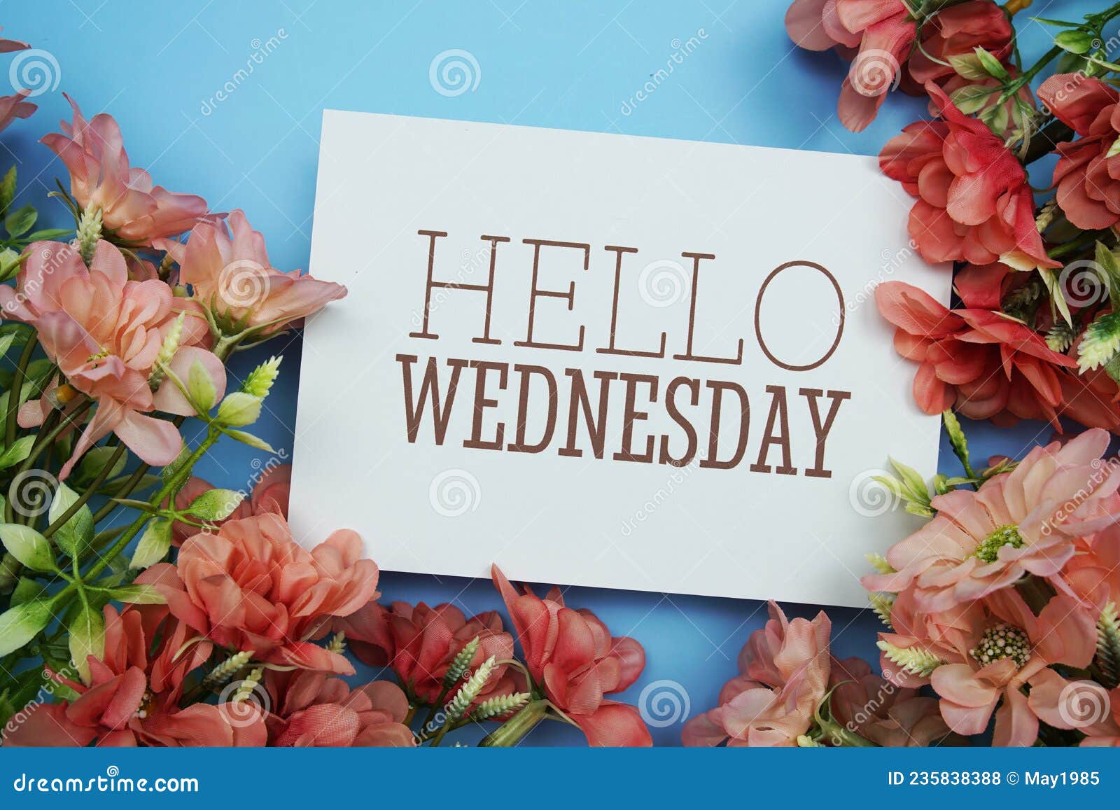Hello Wednesday Text with Pink Flower Frame on Blue Background Stock ...