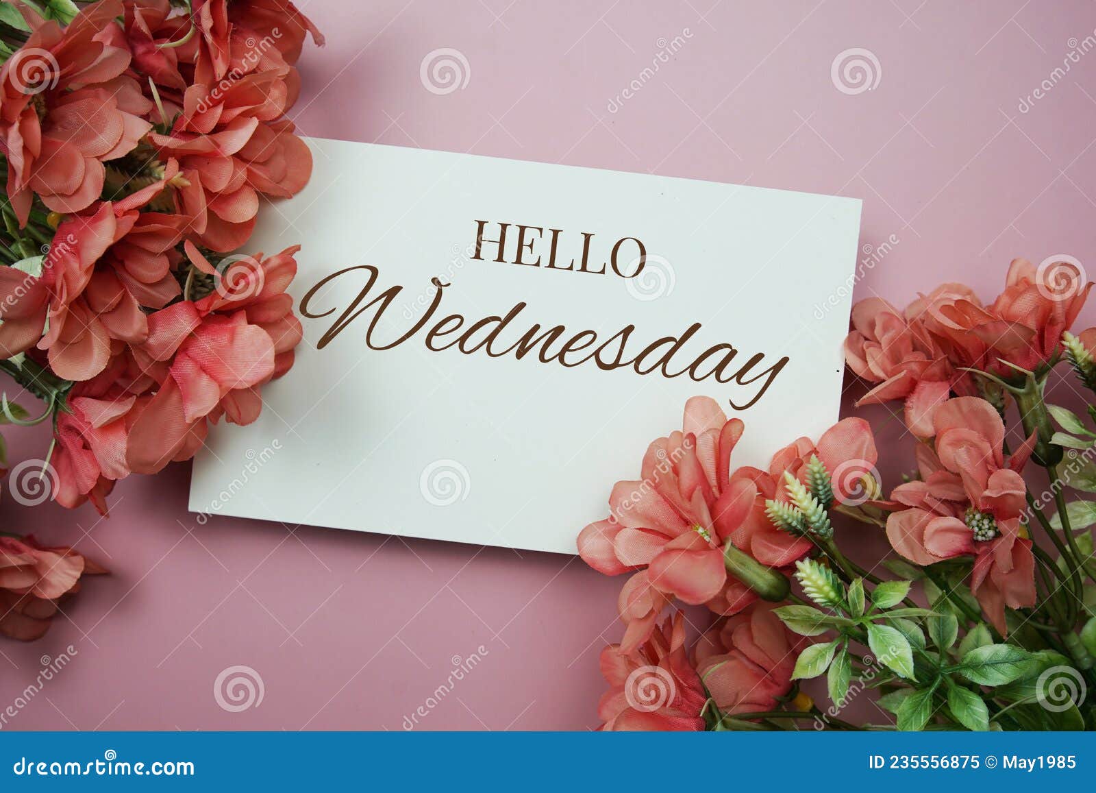 Hello Wednesday Typography Text with Flowers Frame on Pink Background ...