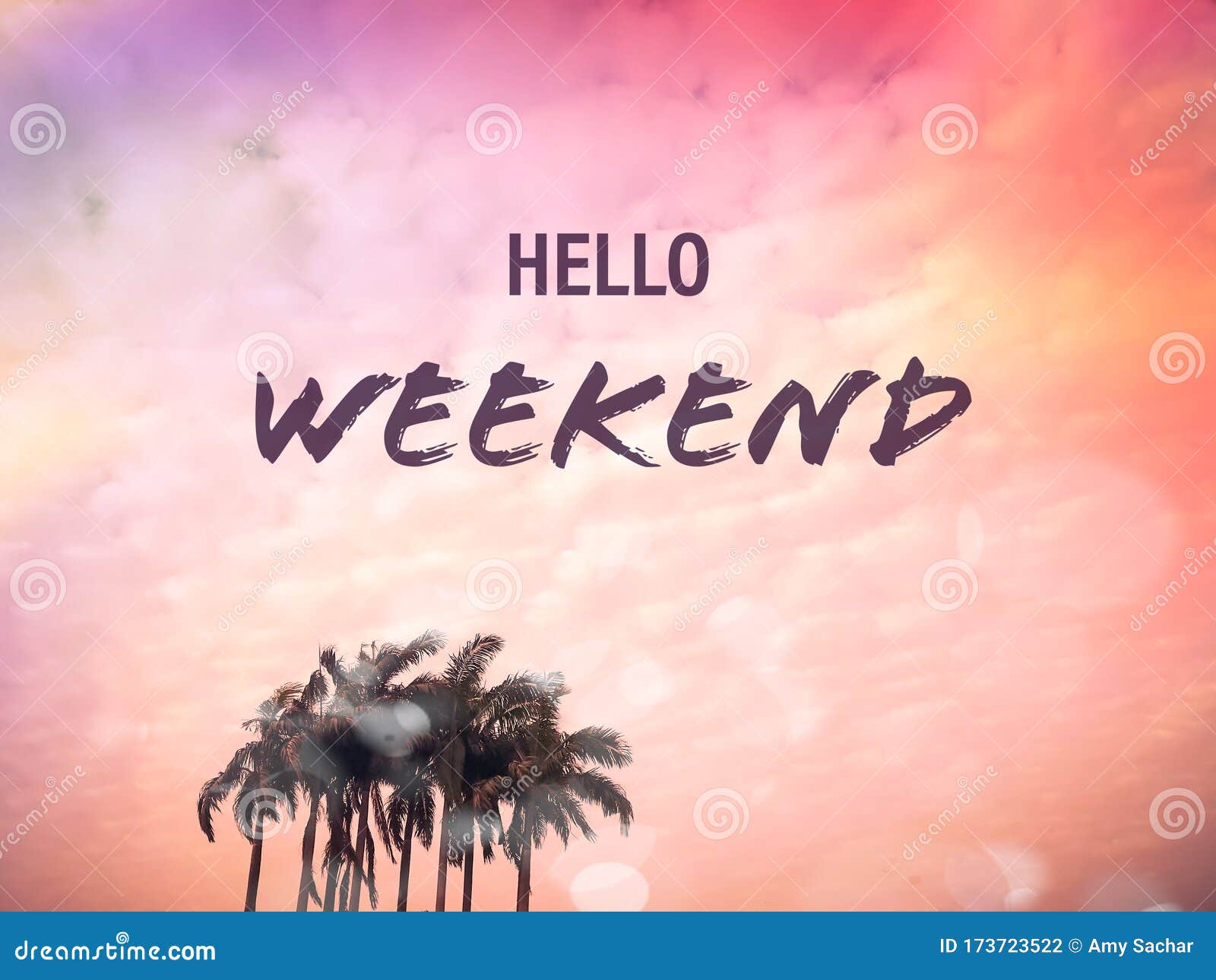 Hello Weekend Pink Pastel Sky and Palm Tree Word Background Stock Photo ...