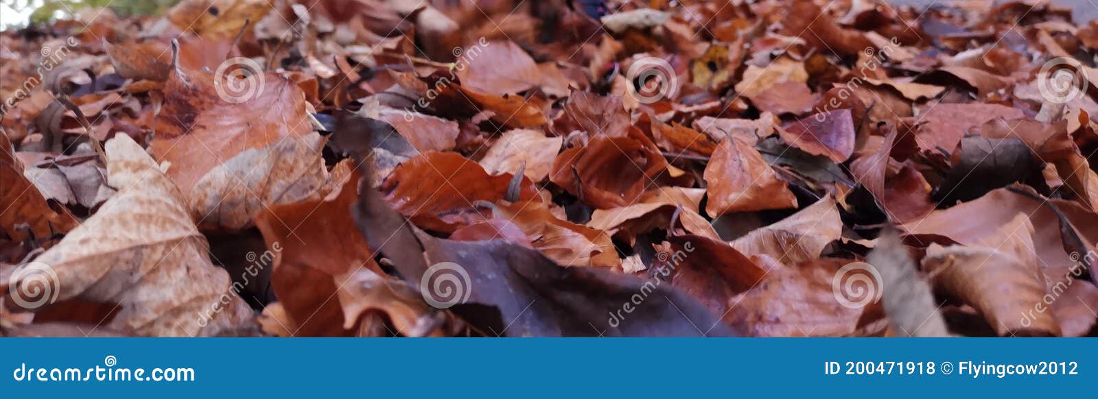 Hello, What is the Current Status of the Review? Stock Photo - Image of ...