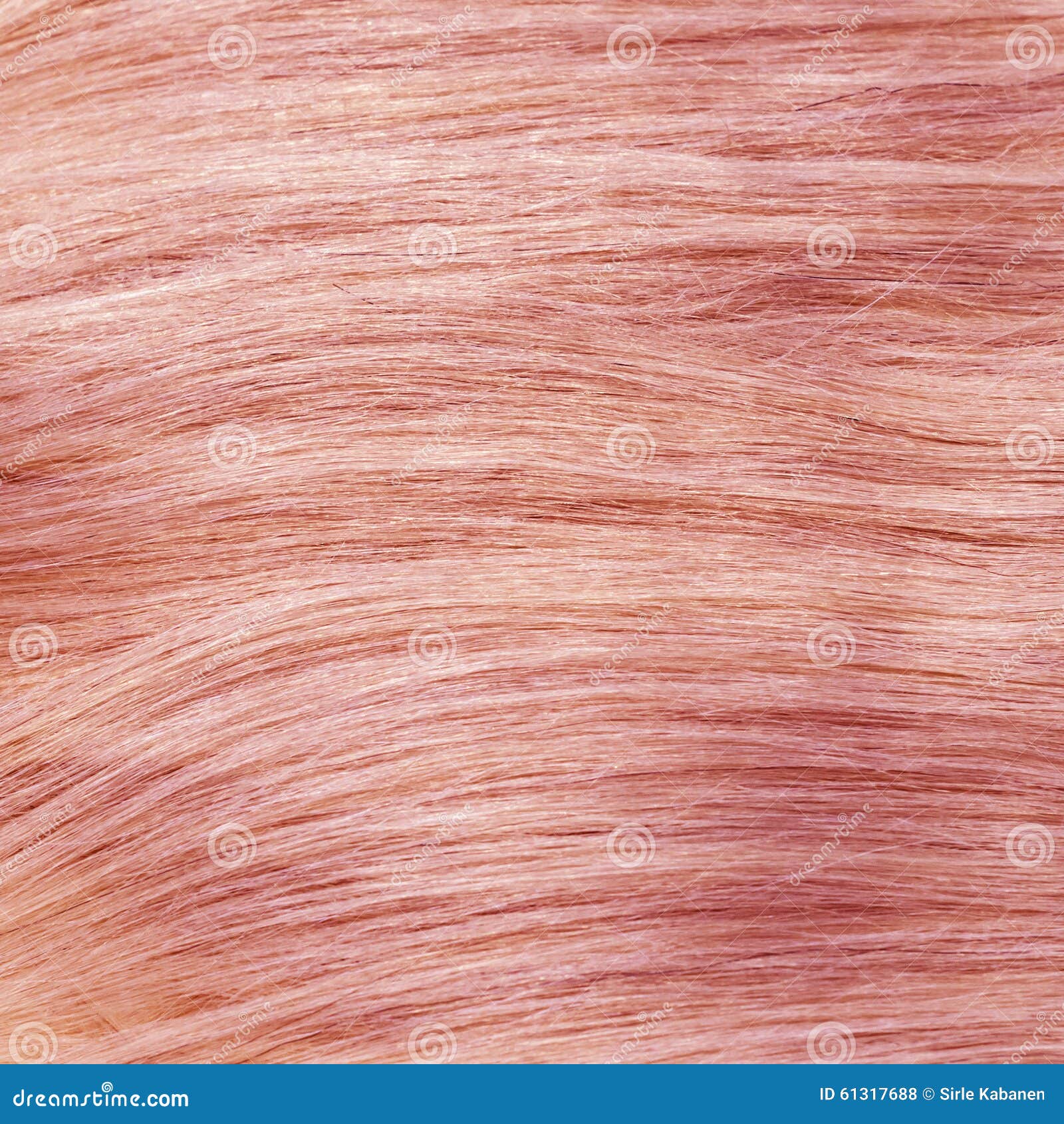 Hellrosa Gesundes Klipp-in Der Haarbeschaffenheit Stockfoto - Bild von ...