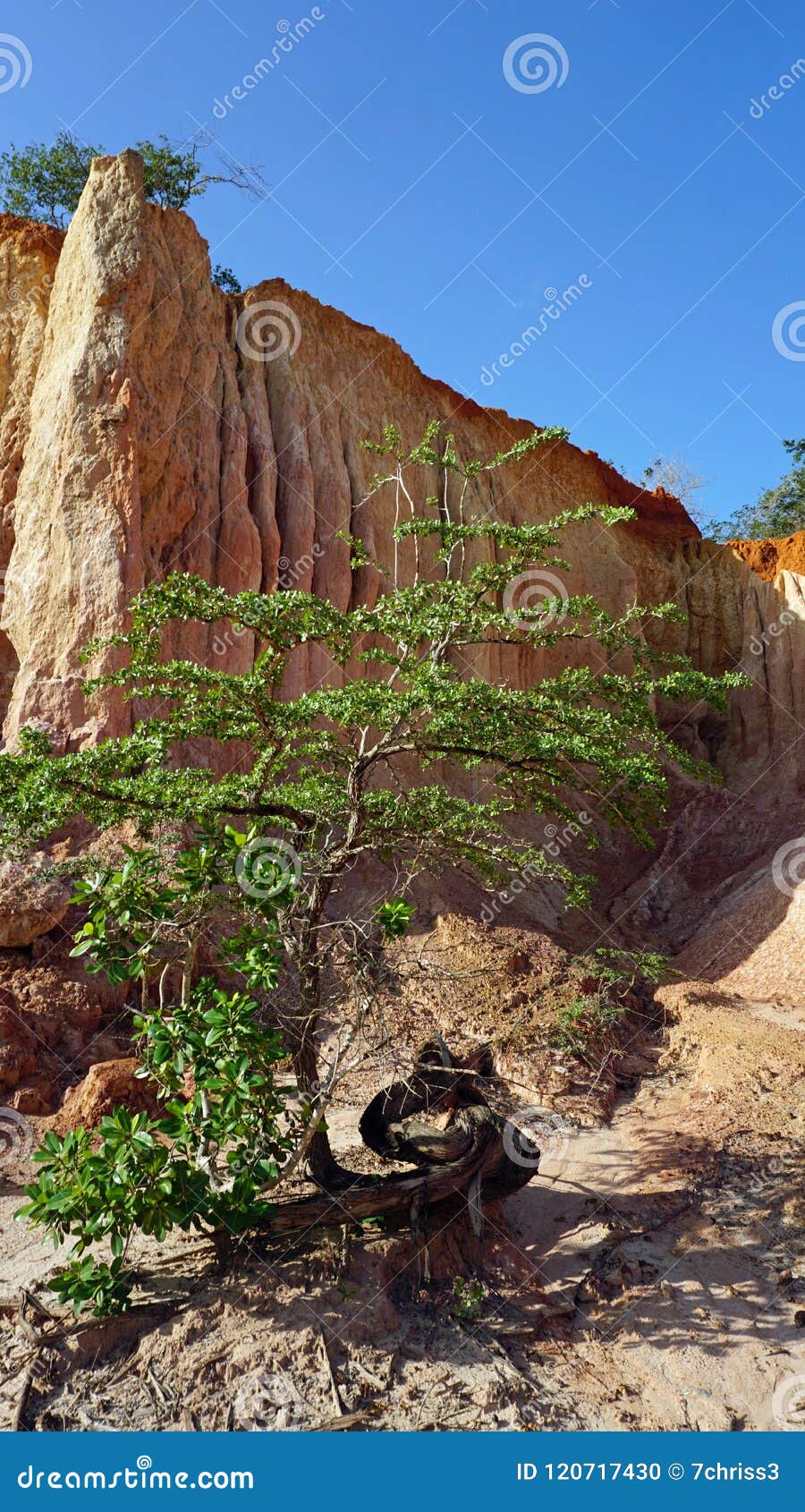 Hells Kitchen Canyon of Marafa Stock Photo - Image of geology, scenic ...