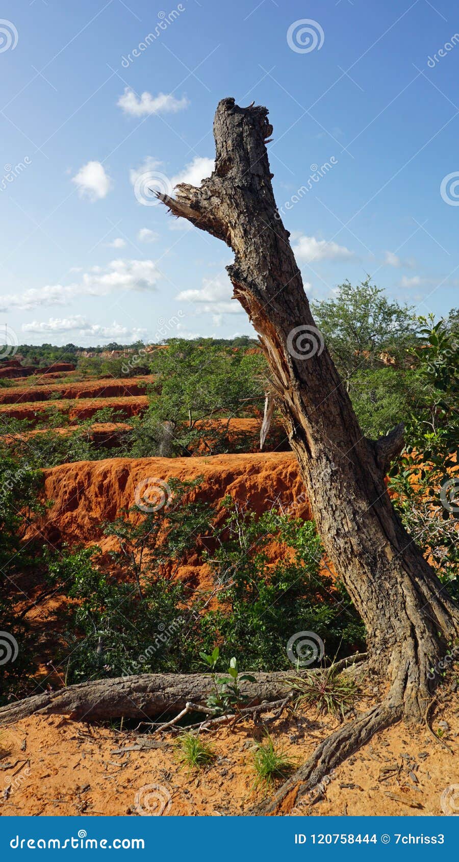 Hells Kitchen Canyon of Marafa Stock Photo - Image of marafa, hells ...