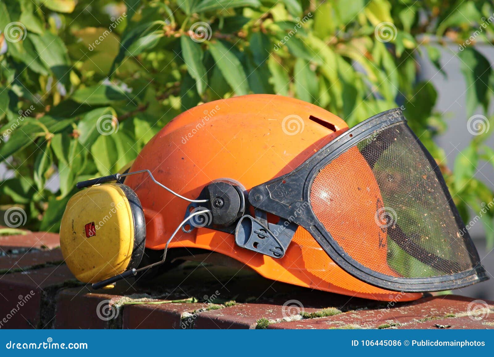 Helmet, Personal Protective Equipment, Grass, Plant Picture. Image ...