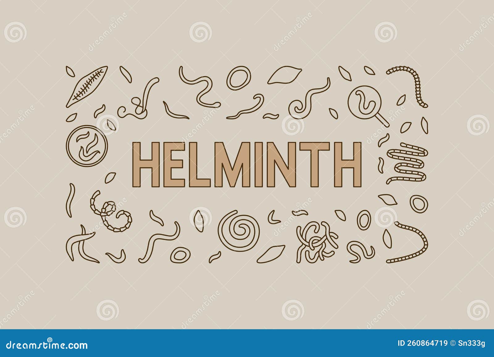 Trematoda Helminth Linea Seamless Pattern - Vector Background Stock ... Trematoda Helminth Linea Seamless Pattern - Vector Background Stock ...