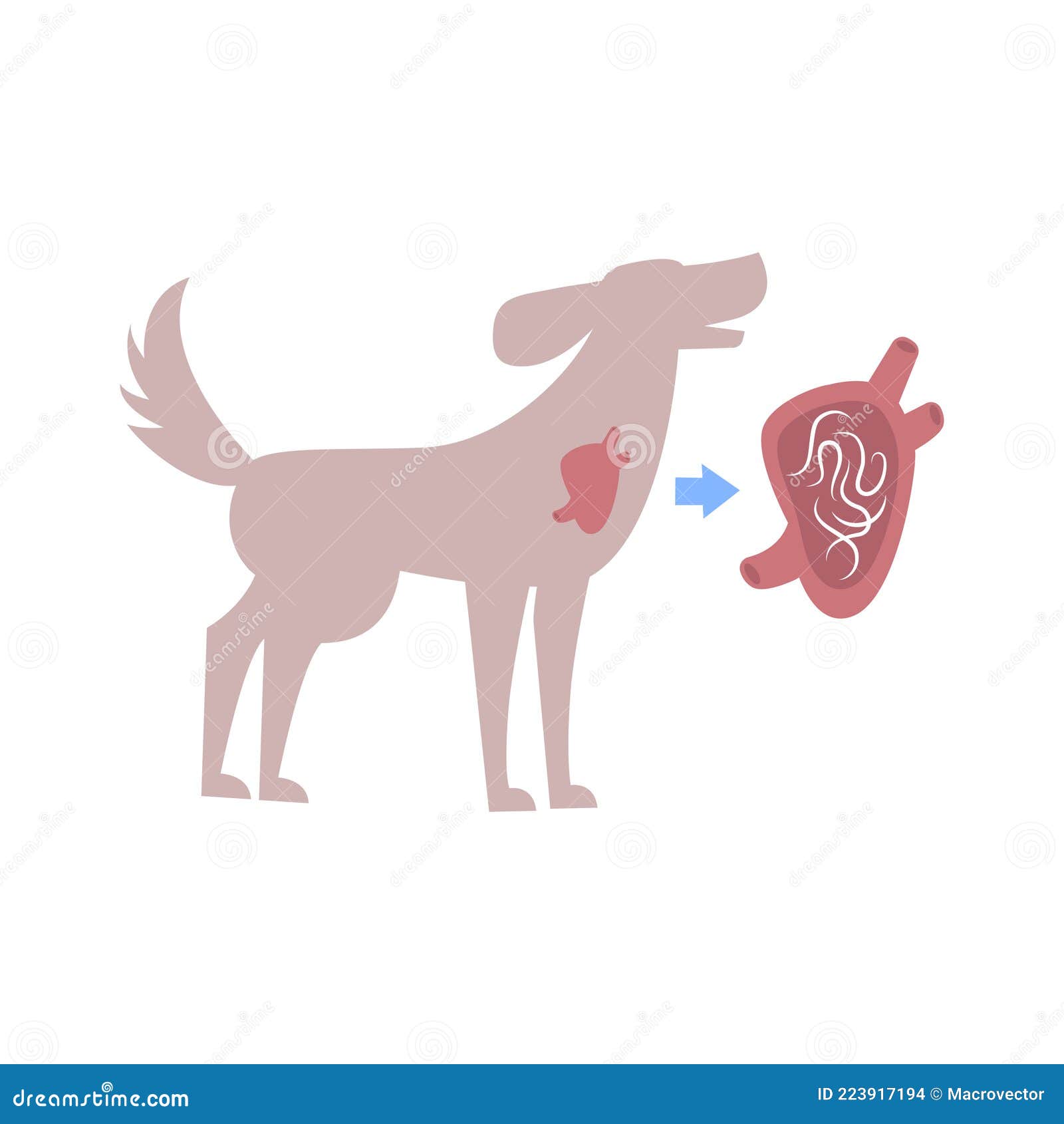 Helminths Cartoons, Illustrations & Vector Stock Images - 277 Pictures ...