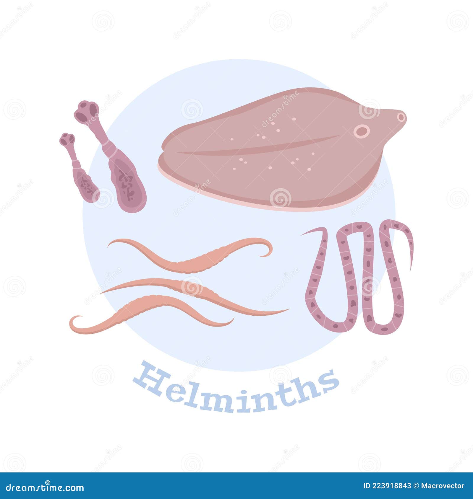 Helminths Flat Composition stock vector. Illustration of intestine ...