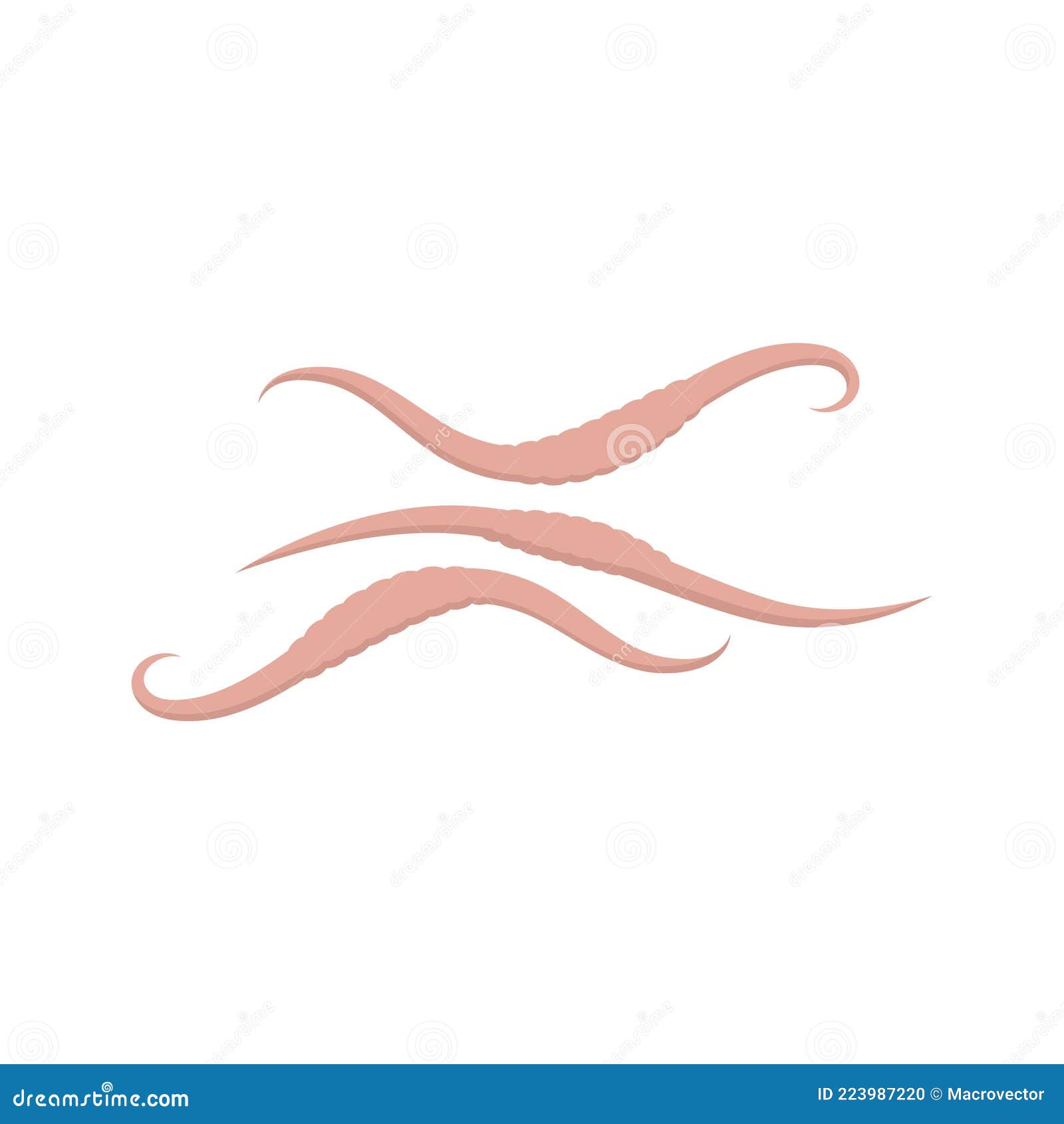 Illustration Of Helminths On Color Background. Parasites In Human Body ...