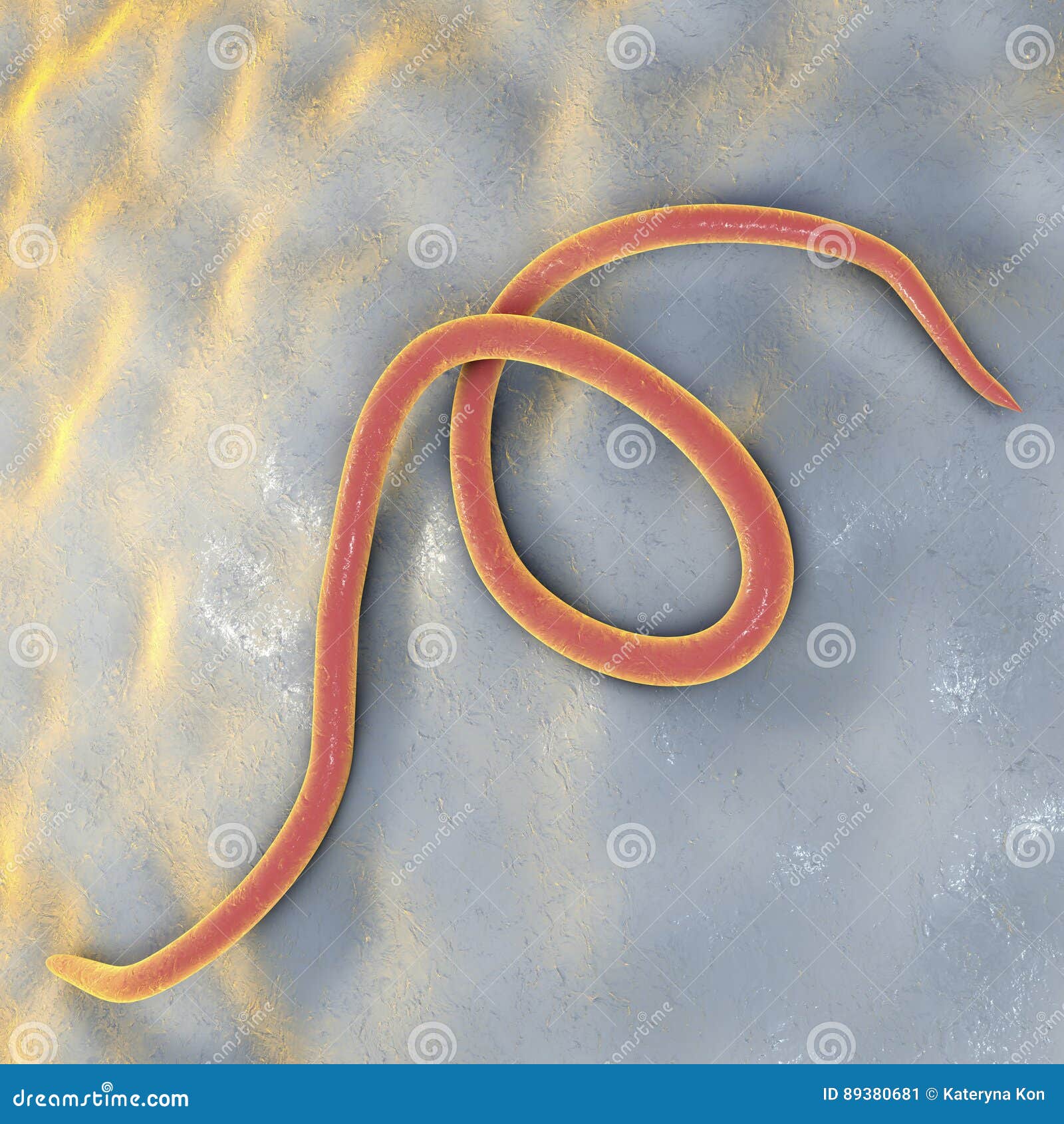 Helminths Cartoons, Illustrations & Vector Stock Images - 247 Pictures ...