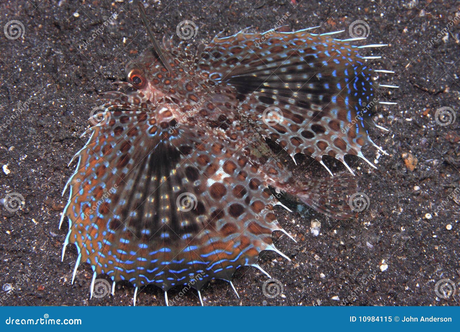 Helmut Gunard Photos - Free & Royalty-Free Stock Photos from Dreamstime