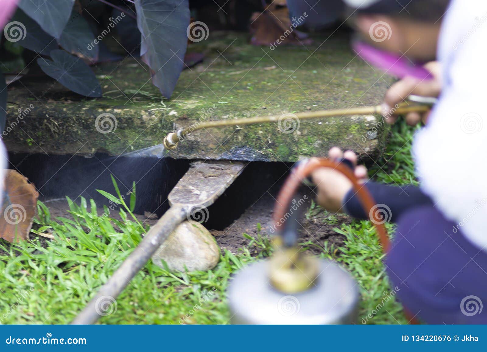 Treatment, Pest Control, Fumigation Outdoors Stock Photo - Image of ...