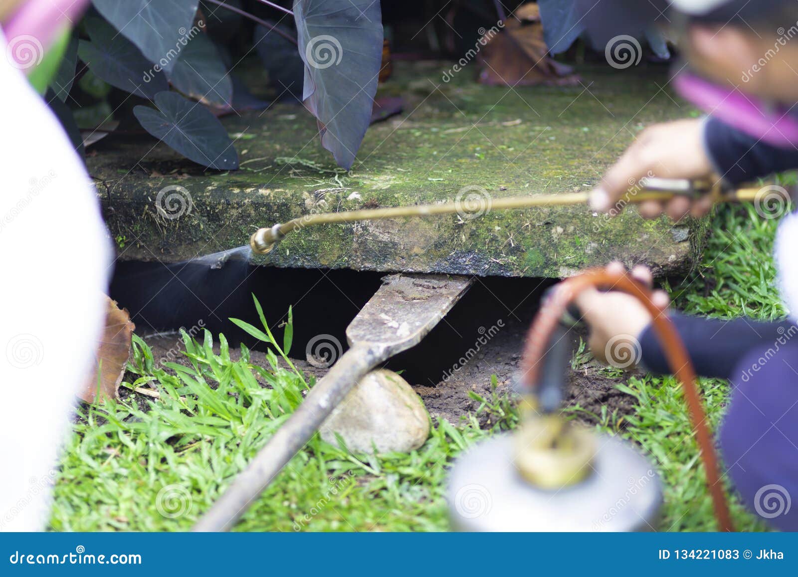 Treatment, Pest Control, Fumigation Outdoors Stock Image - Image of ...