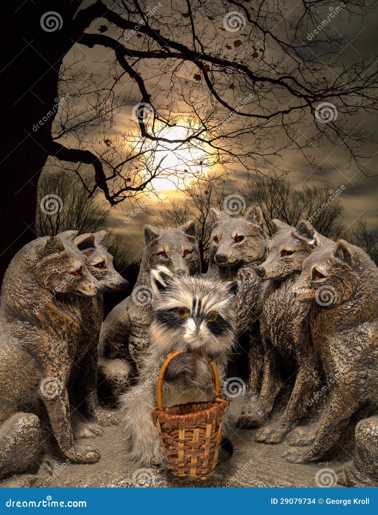 Wolves Circle Stock Photos - Free & Royalty-Free Stock Photos from ...