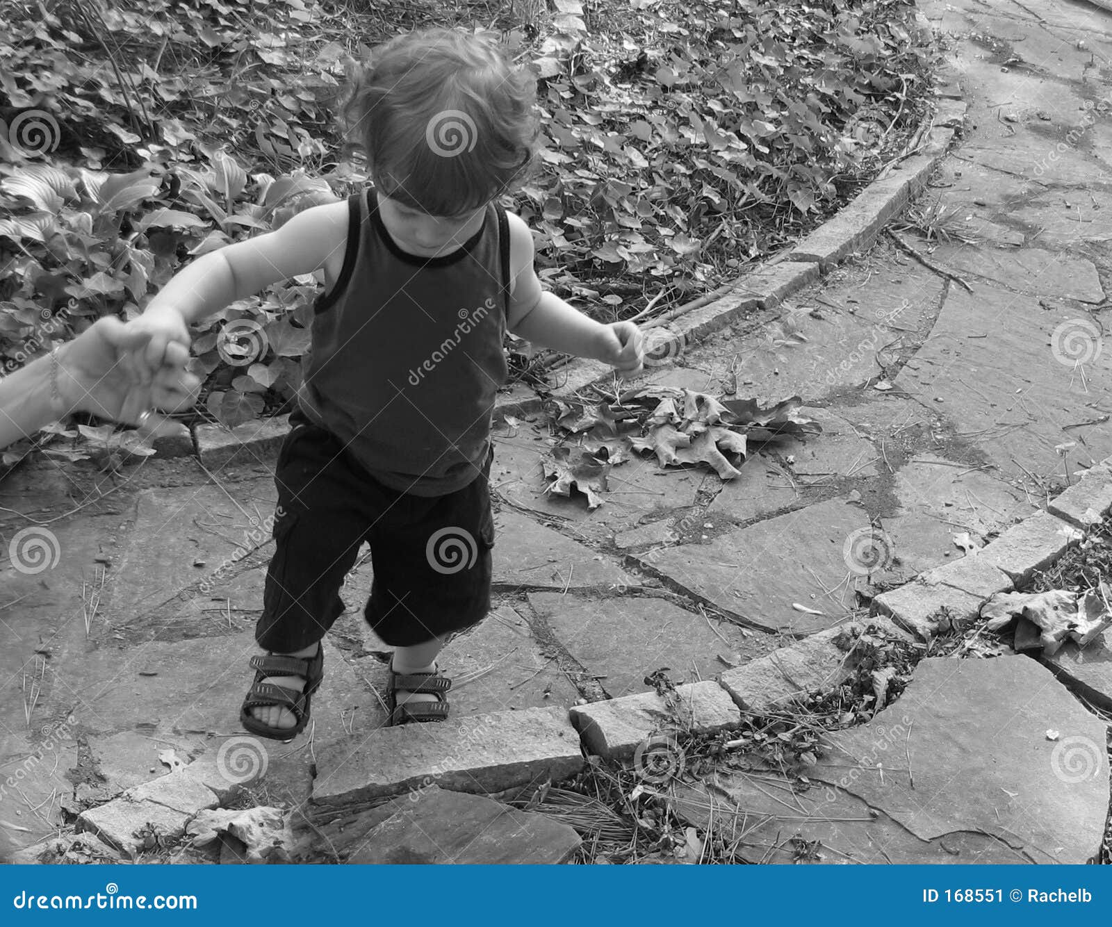 Help me up stock image. Image of feet, nature, helping - 168551