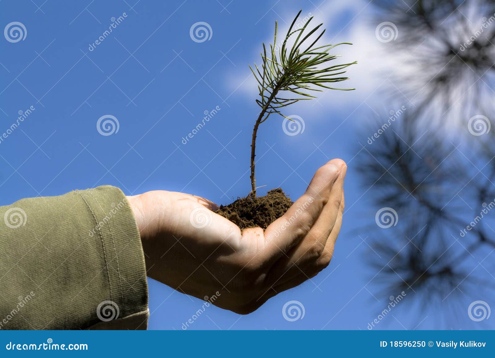 Help nature stock photo. Image of environmental, conservation - 18596250