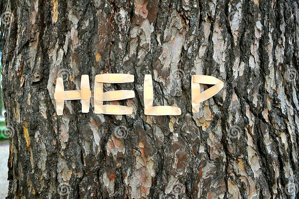 Help nature concept stock image. Image of growth, ecology - 17773799