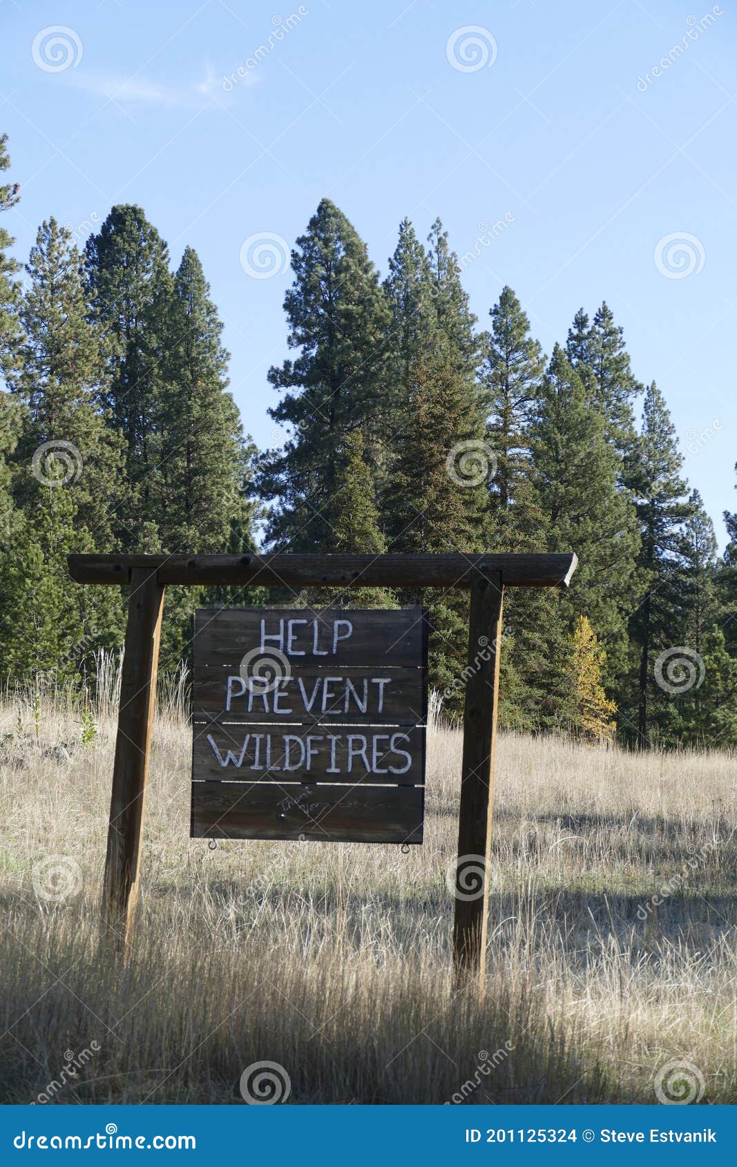 Help Prevent Forest Fires Sign Stock Photo - Image of eastern, flame ...