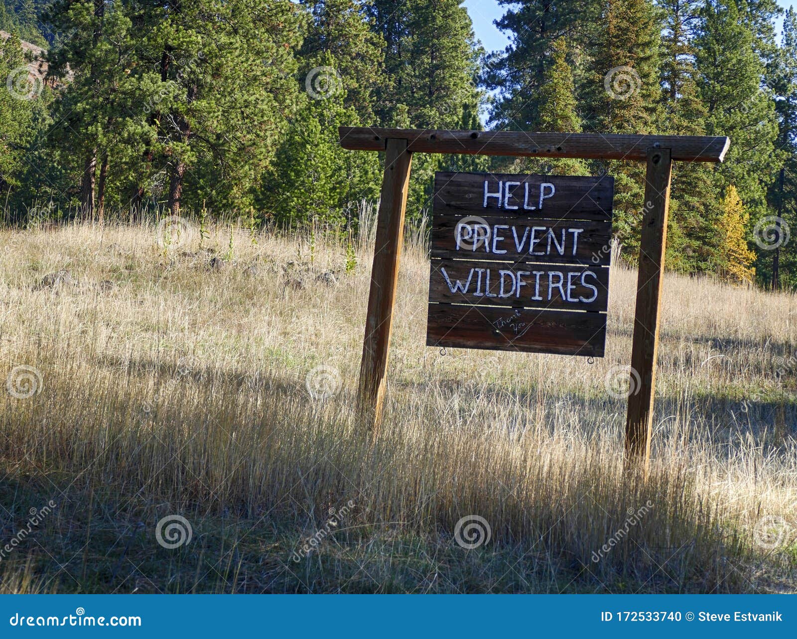 Help Prevent Forest Fires Sign Stock Photo - Image of insurance ...