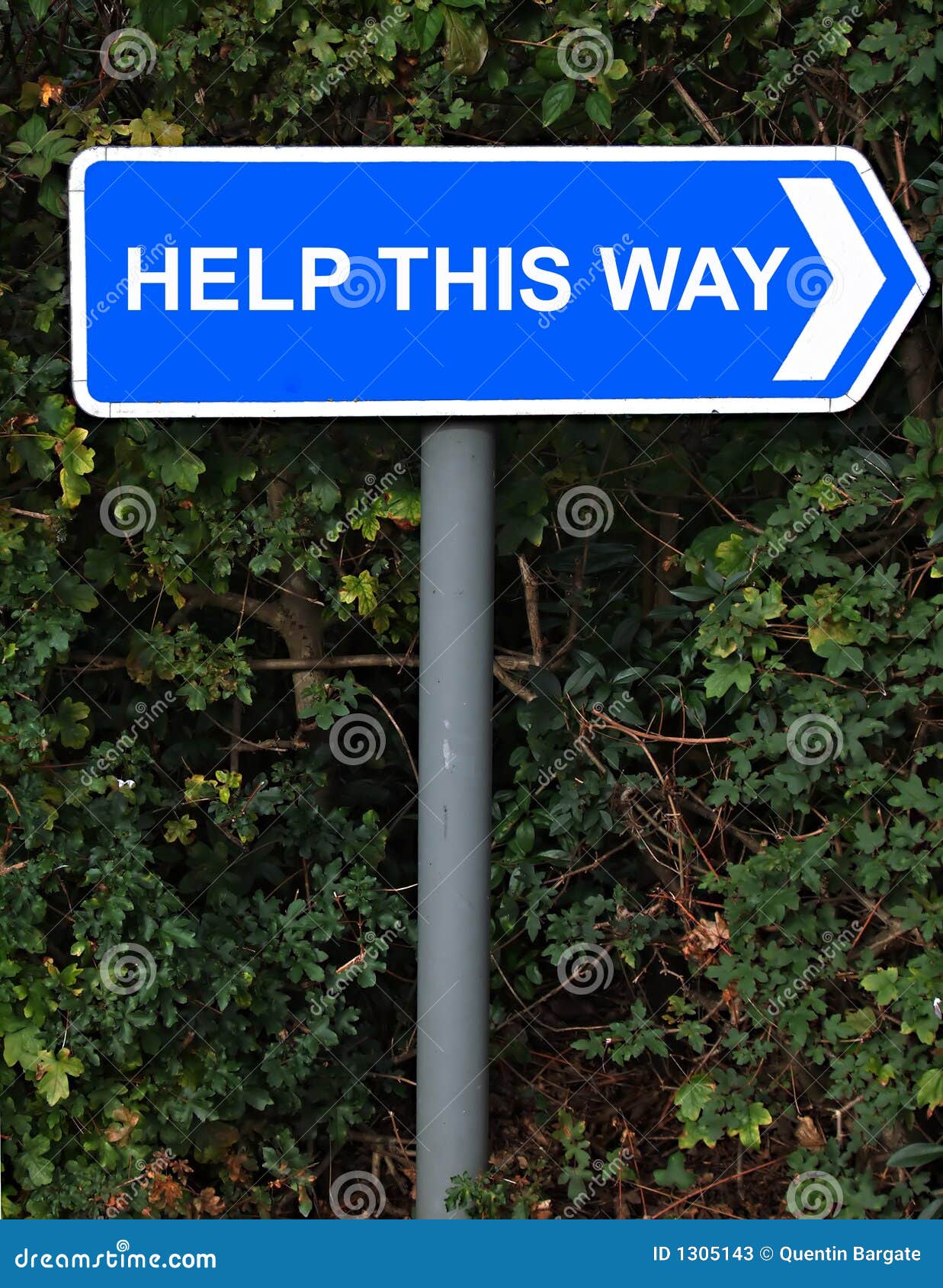 Help this Way Sign stock image. Image of uncertain, shrub - 1305143