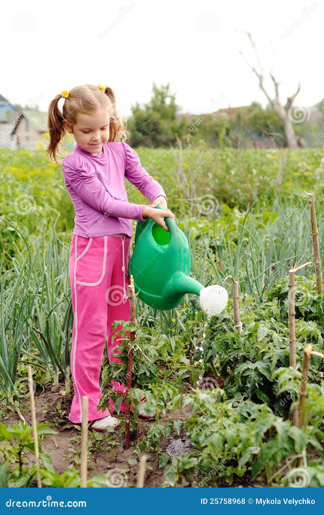 Helper stock photo. Image of horticulture, outdoors, garden - 25758968