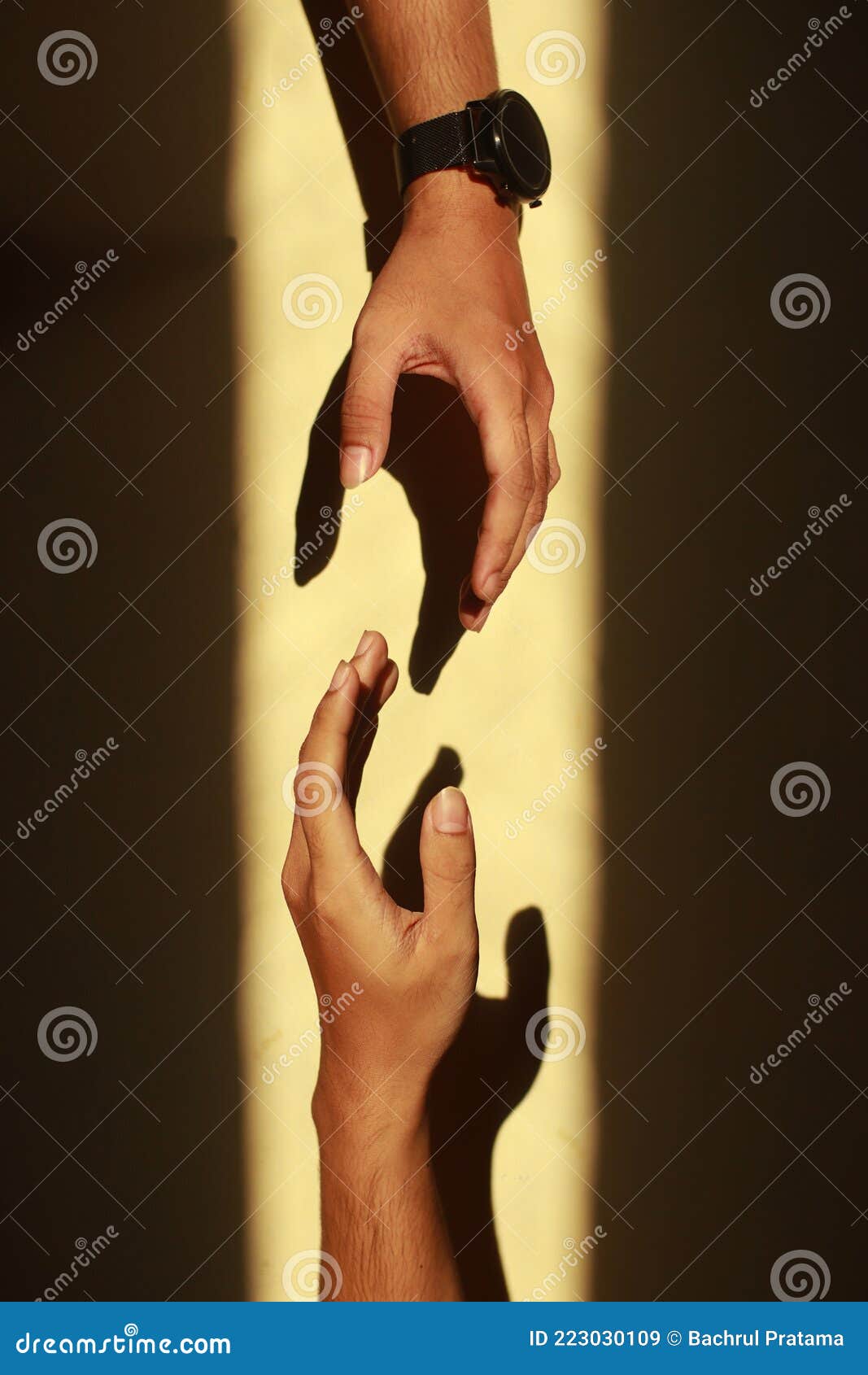 Helping Hand stock image. Image of helping, ourself - 223030109