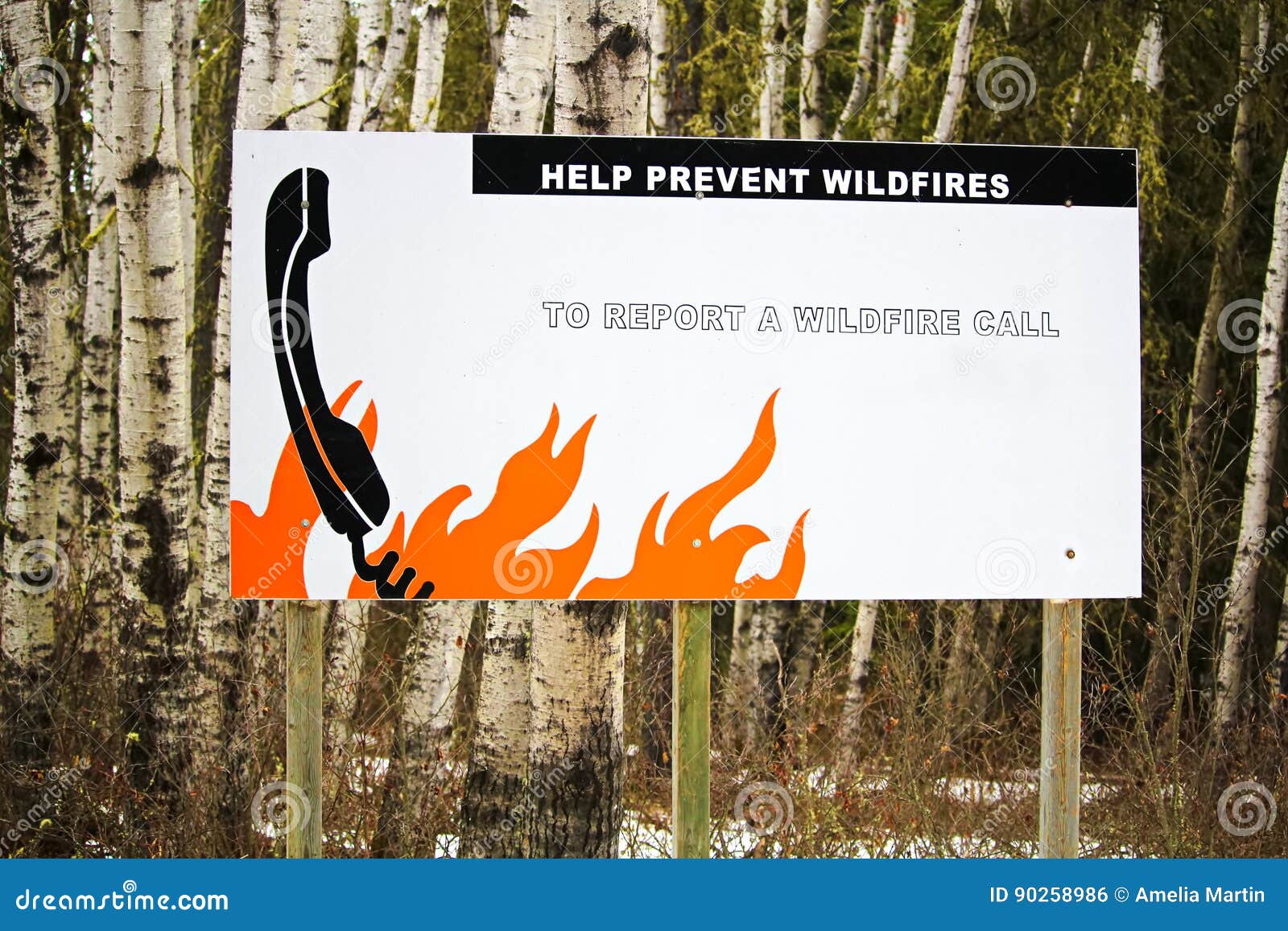 Helping Prevent Wildfire Sign by Reminding To Call Stock Photo - Image ...