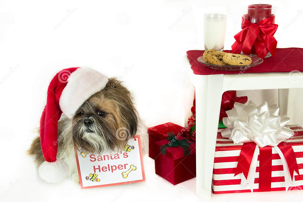 Helping Santa stock image. Image of helper, animal, santa - 24777013