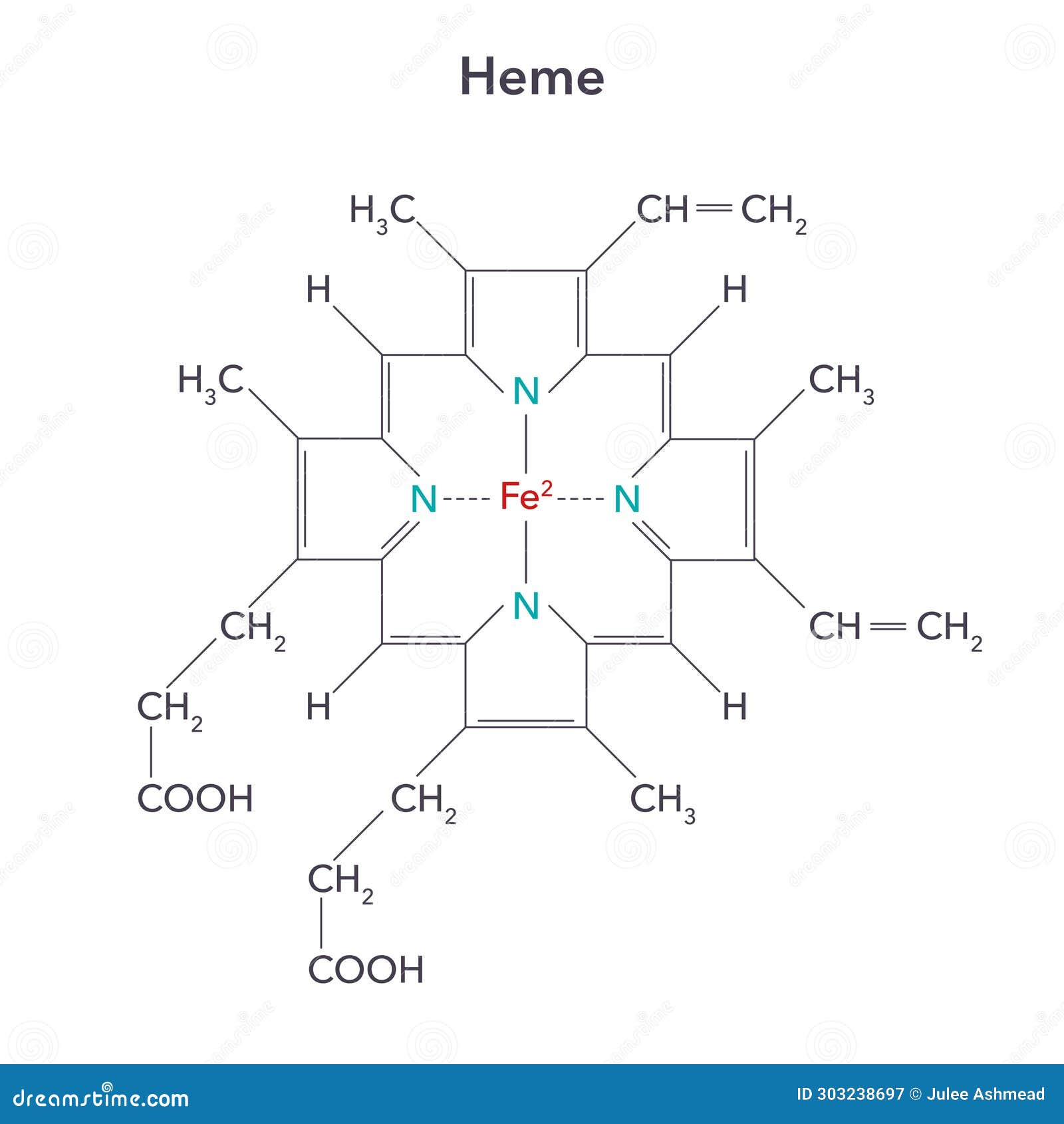 Heme, or Haem Diagram Biochemistry Vector Illustration Structure Stock ...