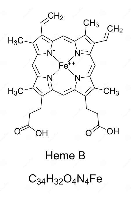 Heme B, Haem B, or Protoheme IX, Chemical Formula and Structure Stock ...