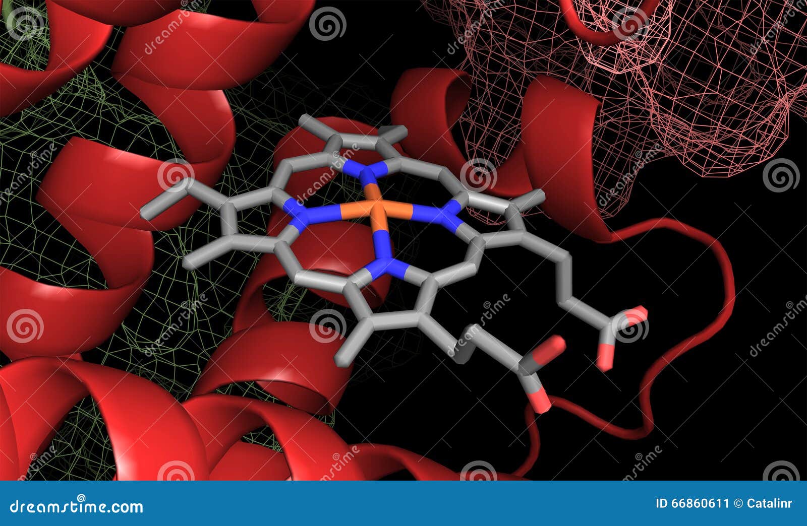 heme group structure Coloso