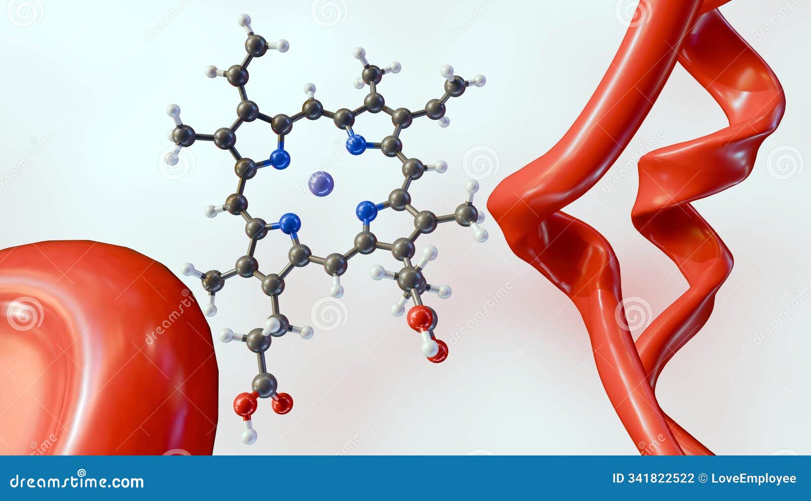Heme Molecule, Protein Structure and Red Blood Cells. Stock ...