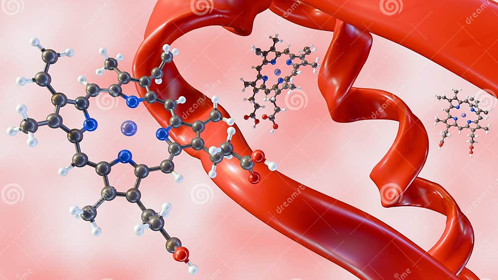 Heme Molecule and Protein Structure in the White Background. Stock ...