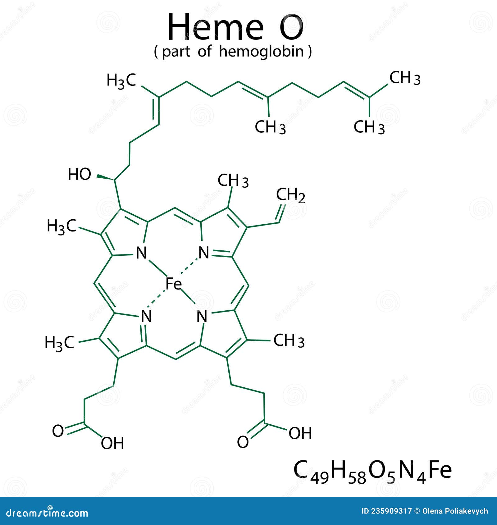 Heme O Chemical Formula. Part Of Hemoglobin. Molecular Structure ...